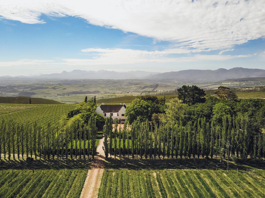 Weingut Iona Wine Farm - Landolt Weine