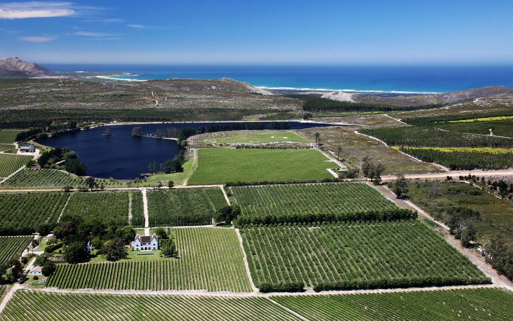 Weingut Iona Wine Farm - Landolt Weine