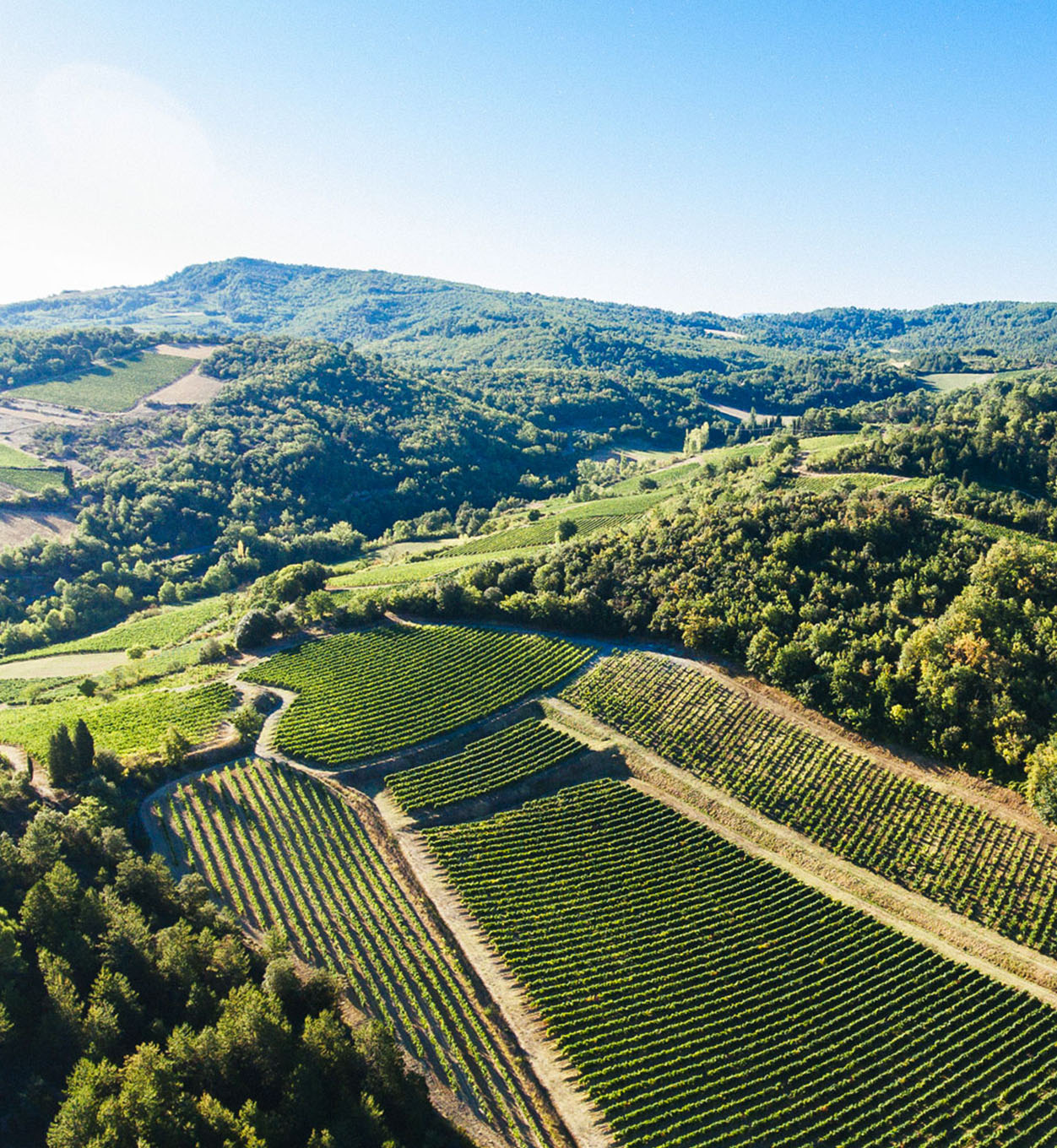 Weingut Luc Pirlet - Landolt Weine