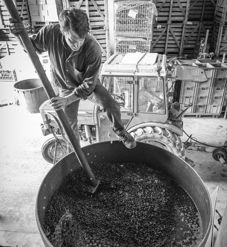 Domaine Arnaud Lambert - Landolt Weine