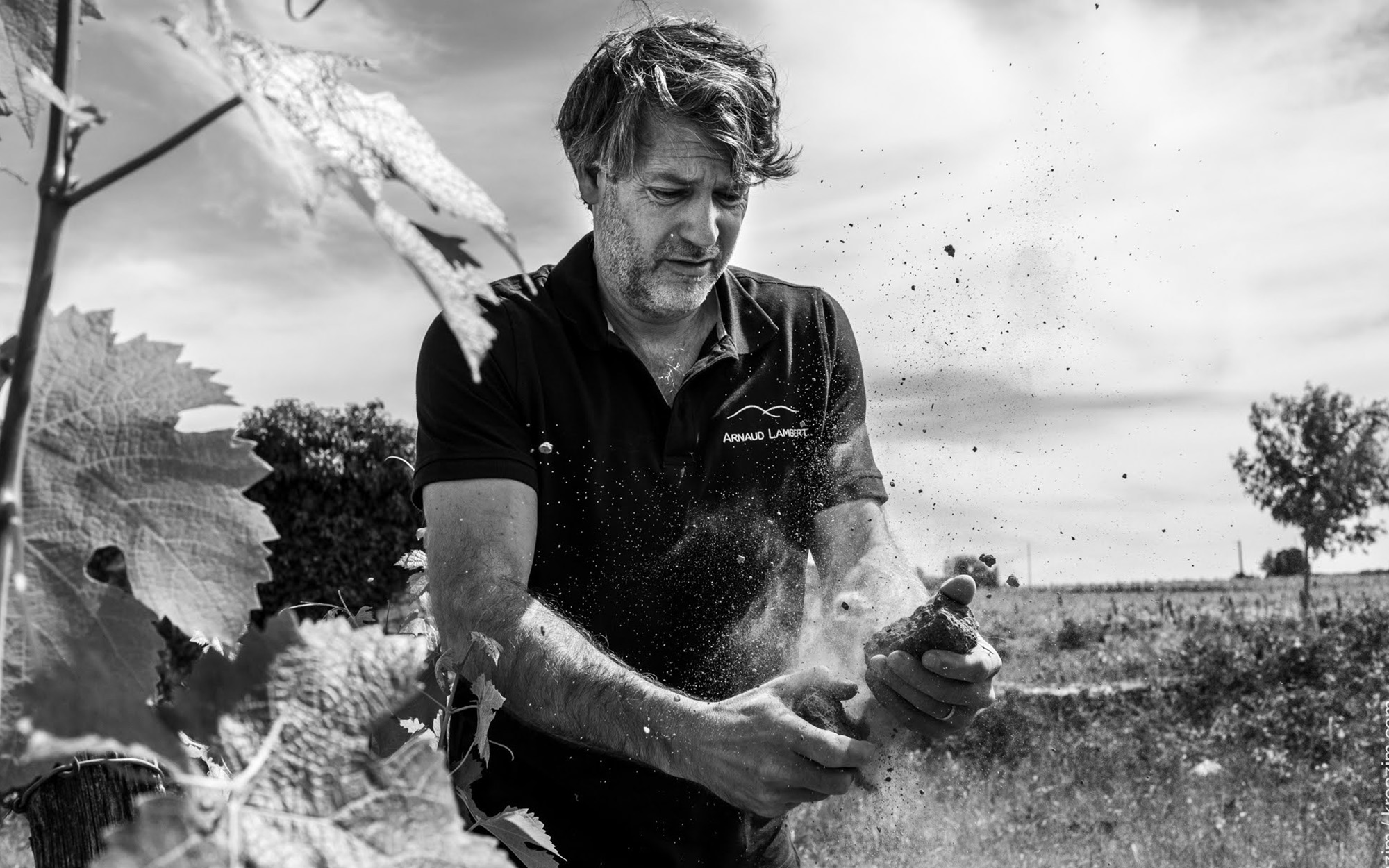 Domaine Arnaud Lambert - Landolt Weine